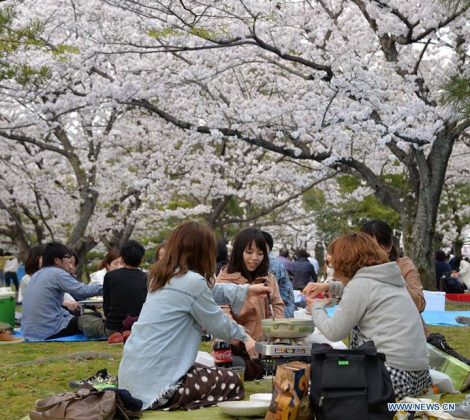 What is Hanami in Japan? The meaning & 9+ best places for Hanami in ...