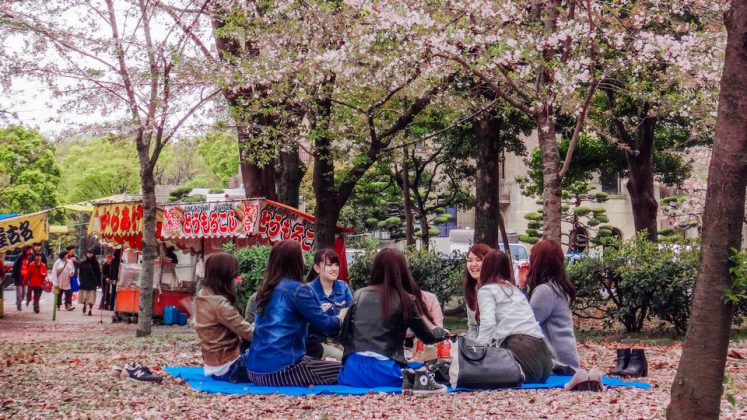 What is Hanami in Japan? The meaning & 9+ best places for Hanami in ...