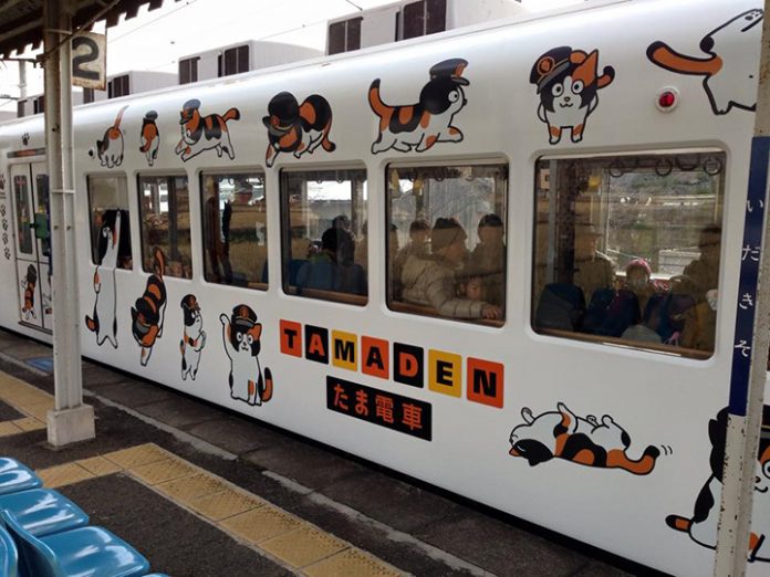 tama cat chief station (2) - Living + Nomads – Travel tips, Guides ...