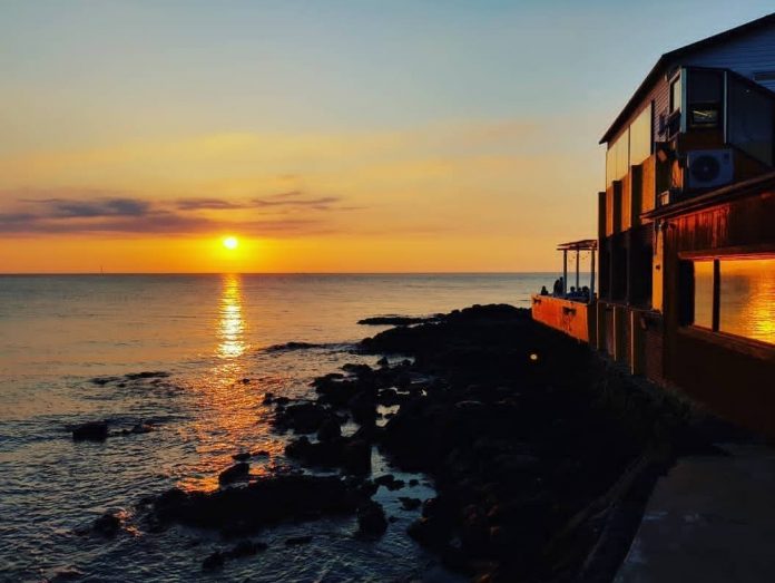 Bomnal Cafe Jeju review — Check-in & virtual living at the super ...