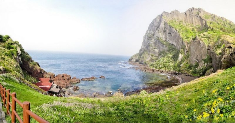 Jeju fall foliage forecast 2025 — The time & 6+ best places to visit ...