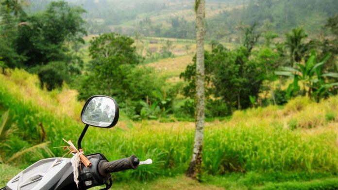 Ubud travel blog — The ultimate Ubud travel guide & what to do in Ubud ...