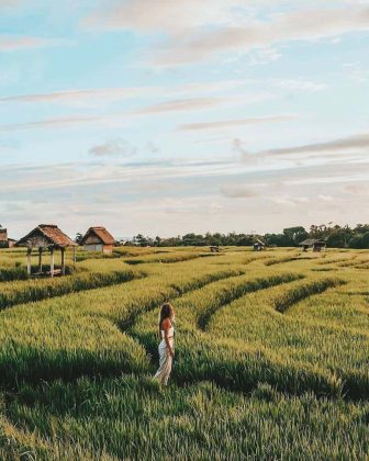 Canggu blog — The fullest Canggu travel guide & top things to do in ...