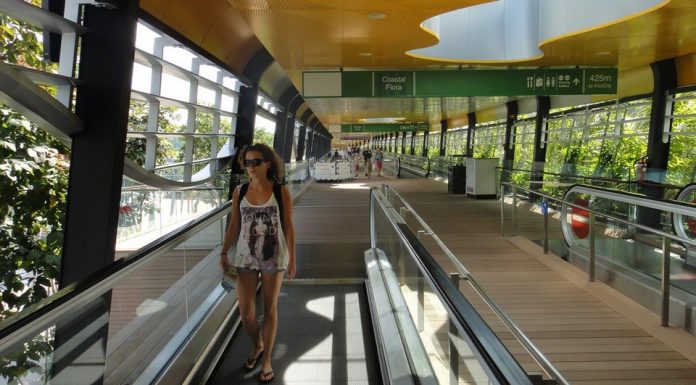 Sentosa Beach Tram - Living + Nomads – Travel tips, Guides, News ...