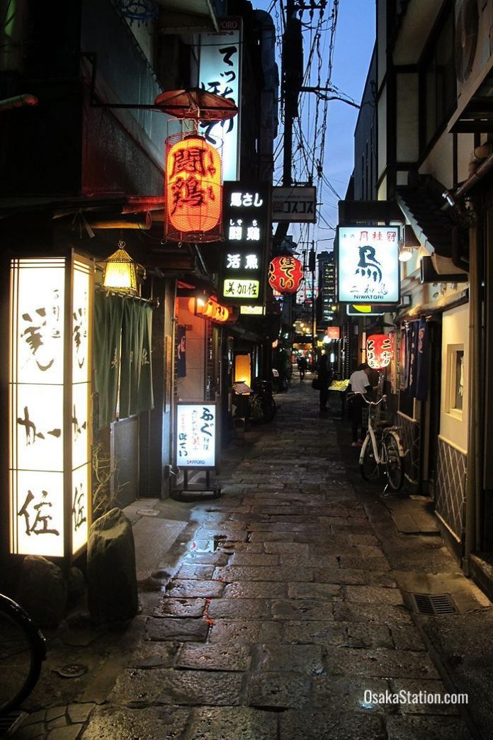 Hozenji Yokocho alley temple,dotonbori blog (2) - Living + Nomads ...