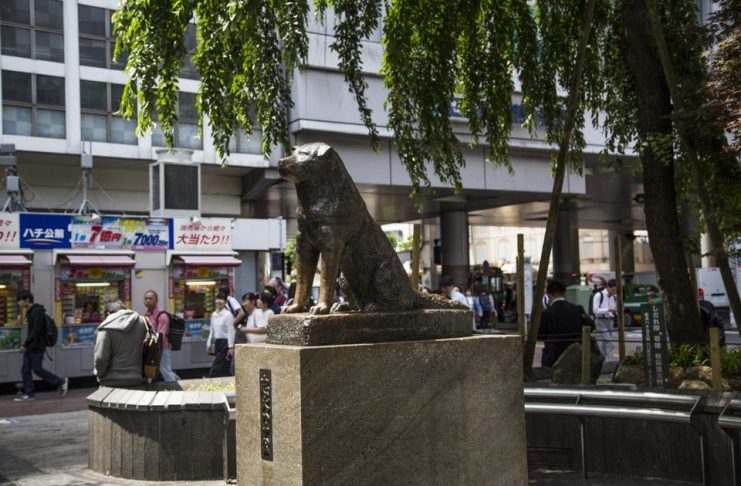 Shibuya-Layout-Map - Living + Nomads – Travel tips, Guides, News ...