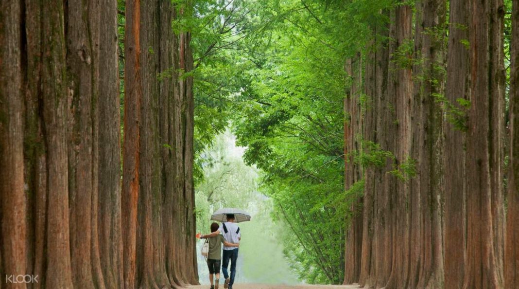 Nami island blog. How to get, when is the best time to visit, what to ...