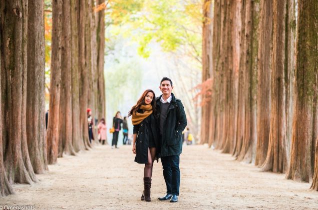 Guide to Nami Island — The fullest Nami Island travel guide for first ...