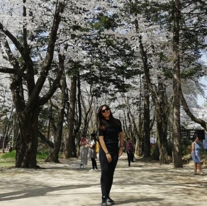 Nami island blog. How to get, when is the best time to visit, what to ...