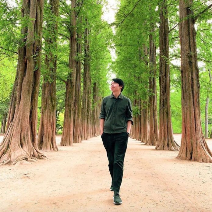 Nami island blog. How to get, when is the best time to visit, what to ...