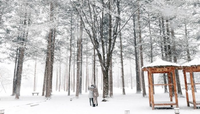 Nami island blog. How to get, when is the best time to visit, what to ...