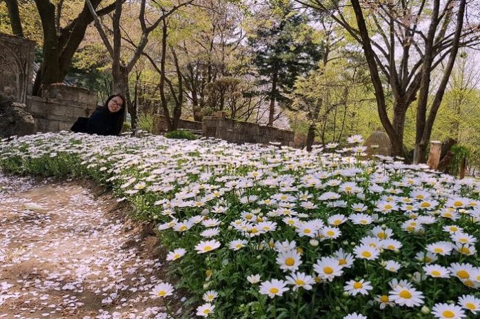 Nami island blog. How to get, when is the best time to visit, what to ...