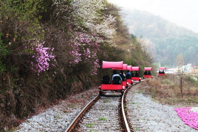 Gangchon Rail Park Reviews: Cycling Through Romantic Mountains and ...