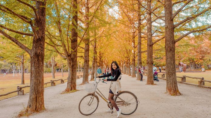 Nami island blog. How to get, when is the best time to visit, what to ...