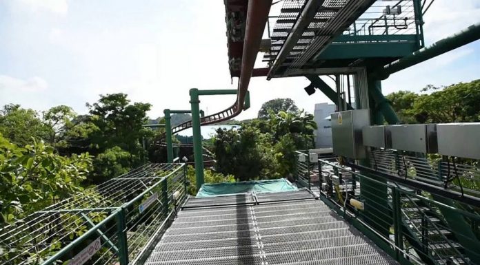 Canopy Flyer universal studios singapore (2) - Living + Nomads – Travel ...