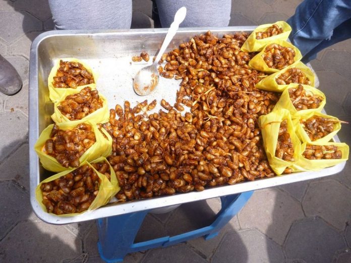 Weird Korean food — Top 19 strange food in Korea & Korean exotic food ...