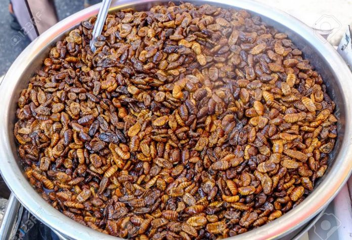 Weird Korean food — Top 19 strange food in Korea & Korean exotic food ...