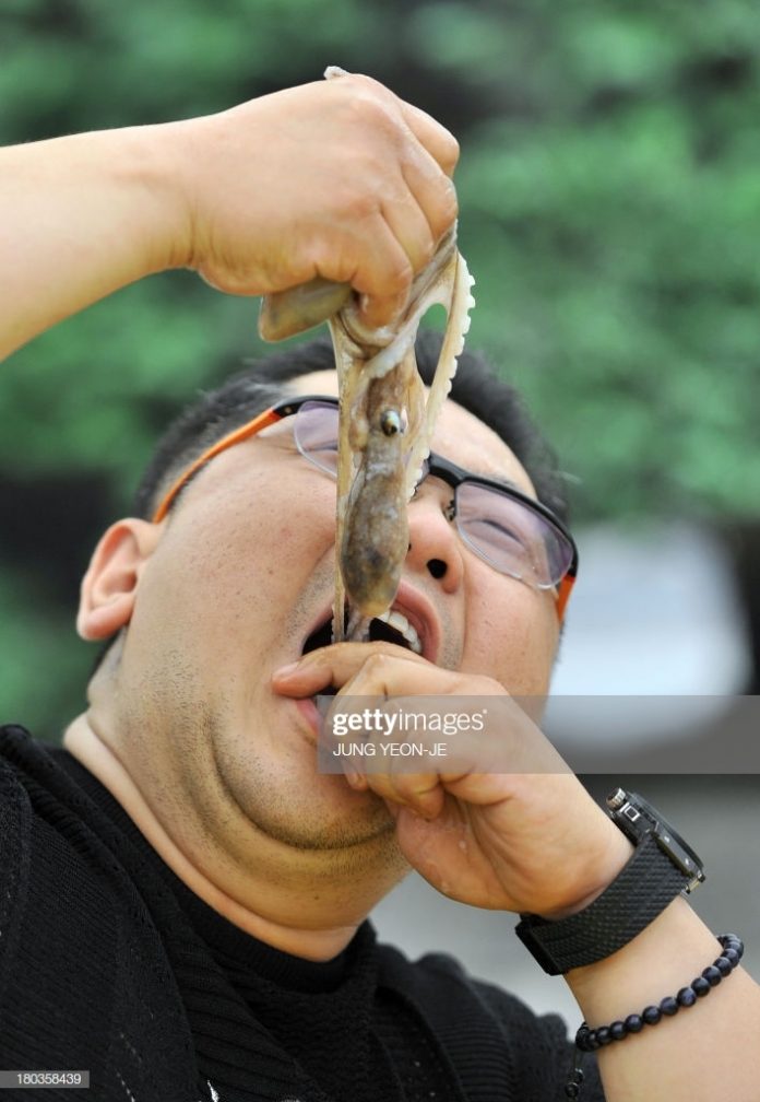 Weird Korean food — Top 19 strange food in Korea & Korean exotic food ...