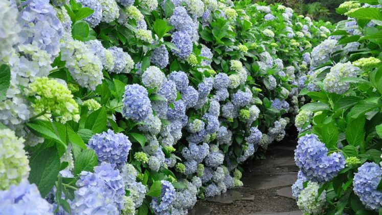 Where to go in Jeju? — Top 21+ most famous, must-go & best places to ...