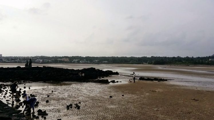 Pyoseon beach (2) - Living + Nomads – Travel tips, Guides, News ...