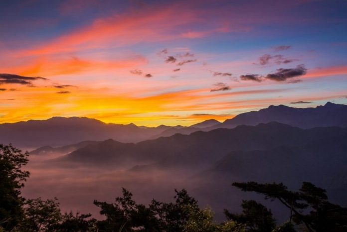 Alishan trip blog — The fullest Alishan travel guide on how to make an ...