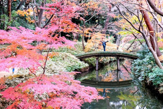 Where to see fall foliage in Japan 2025: 19+ Most beautiful & Best ...