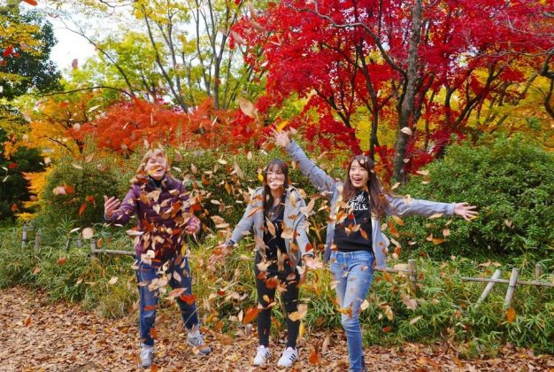 Tokyo fall foliage forecast 2025 — When & 13+ best place to see autumn ...