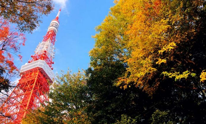 Tokyo fall foliage forecast 2025 — When & 13+ best place to see autumn ...
