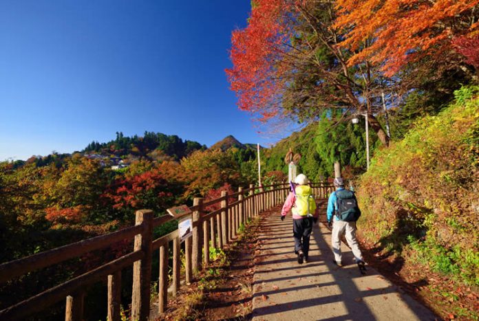 Mount Mitake (Mitakesan) tokyo autumn (14) - Living + Nomads – Travel ...