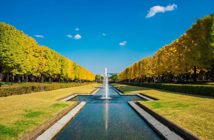 Showa Memorial Park (Showa Kinen Park) autumn, best autumn spots in ...