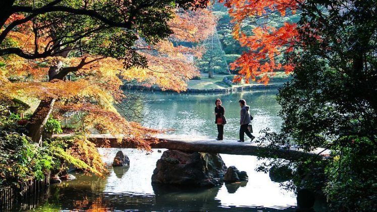 Tokyo fall foliage forecast 2025 — When & 13+ best place to see autumn ...