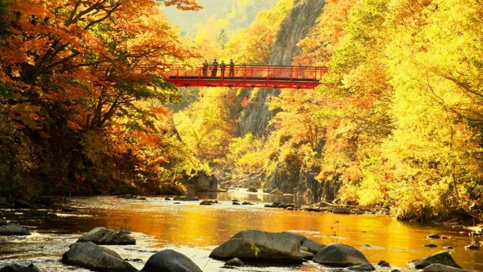 Hokkaido Fall Foliage 2025 Forecast — 15+ top things to do & best ...