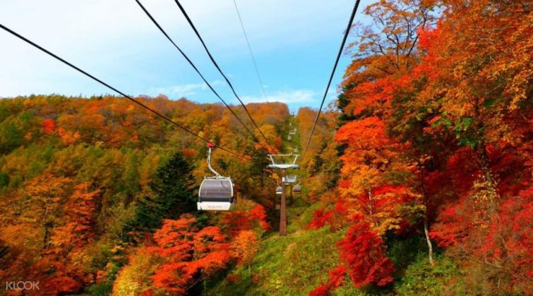 Where to see fall foliage in Japan 2025: 19+ Most beautiful & Best ...