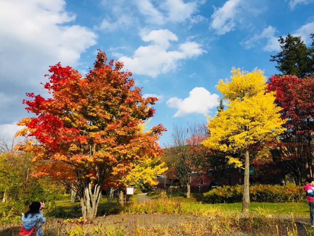 Hokkaido Fall Foliage 2025 Forecast — 15+ top things to do & best ...