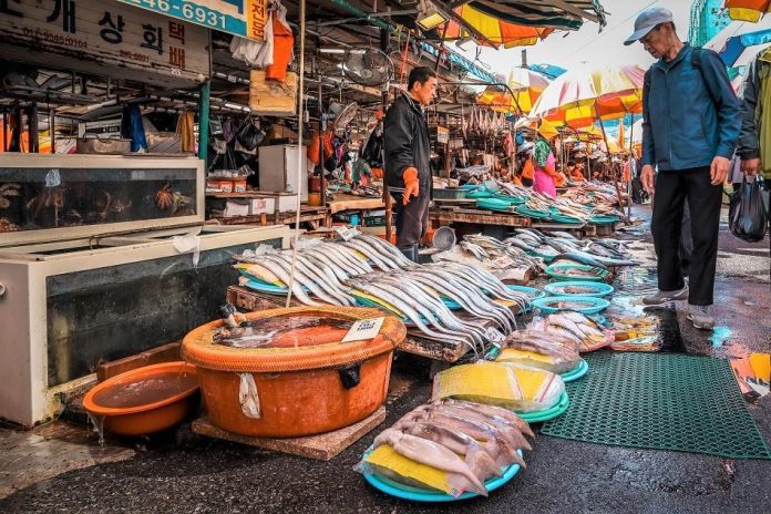 Busan market — 5 best seafood market in Busan & Busan traditional ...