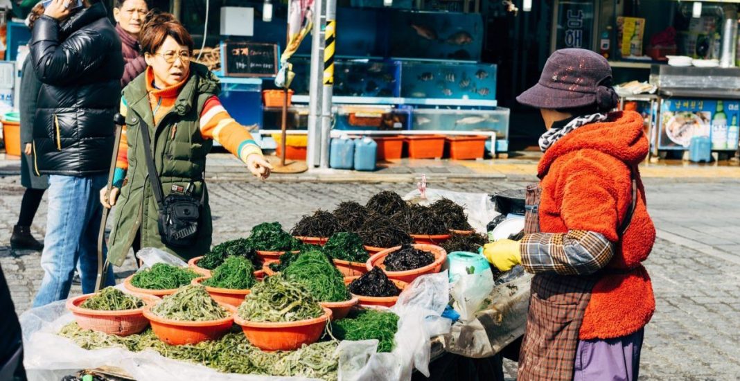Busan market — 5 best seafood market in Busan & Busan traditional ...