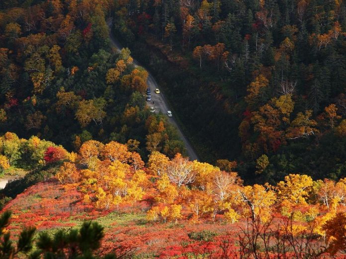 Hokkaido Fall Foliage 2025 Forecast — 15+ top things to do & best ...