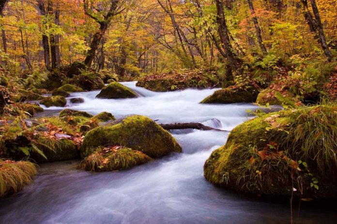 Hokkaido Fall Foliage 2025 Forecast — 15+ top things to do & best ...