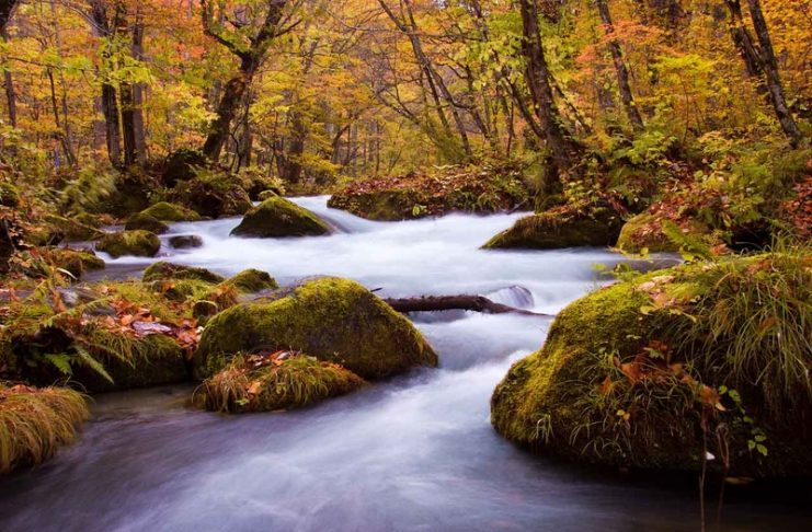 hokkaido travel blog autumn,places to visit in hokkaido during autumn ...
