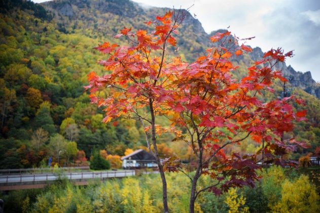 hokkaido travel blog autumn,places to visit in hokkaido during autumn ...