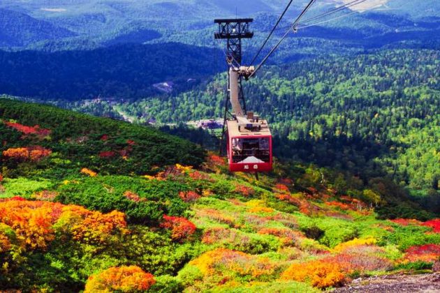 Hokkaido Fall Foliage 2025 Forecast — 15+ top things to do & best ...