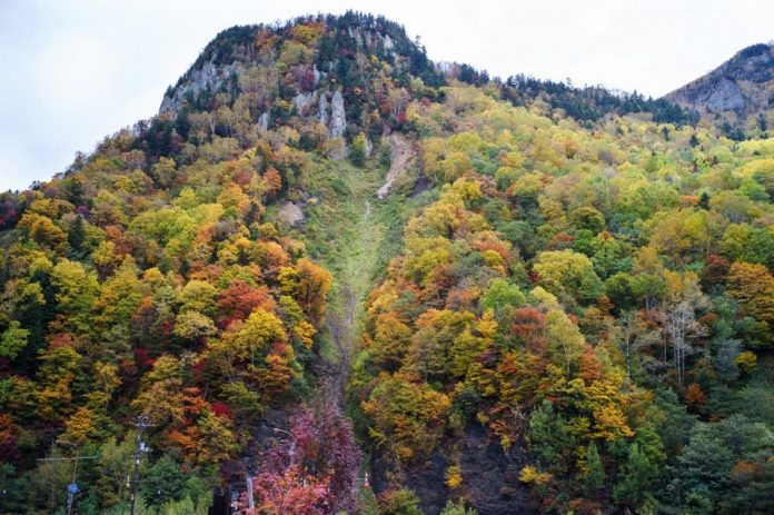 Hokkaido Fall Foliage 2025 Forecast — 15+ top things to do & best ...