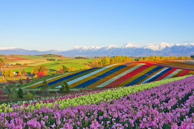Hokkaido autumn itinerary blog — What to do & suggested Hokkaido 9 days ...
