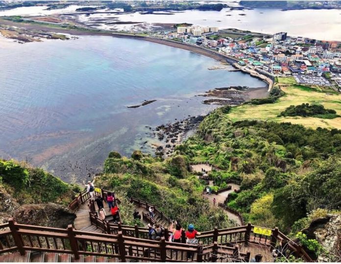 Jeju fall foliage forecast 2025 — The time & 6+ best places to visit ...
