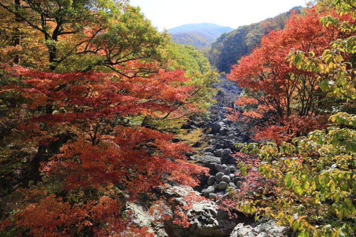12+ must & top things to do in Jeju Island - Living + Nomads – Travel ...