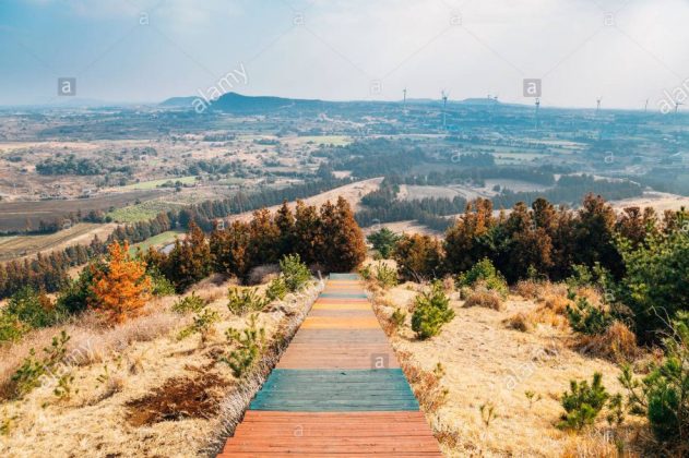 Jeju fall foliage forecast 2025 — The time & 6+ best places to visit ...