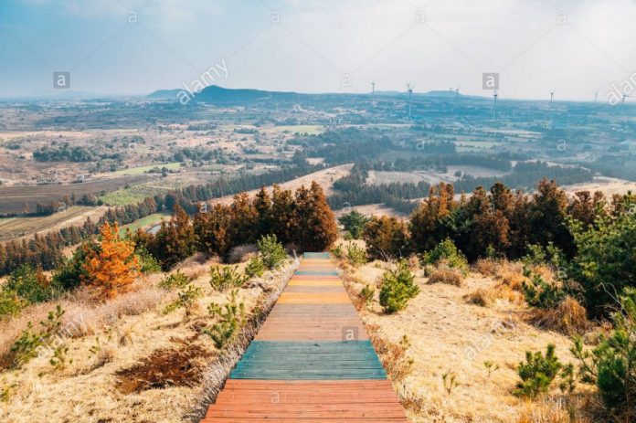 Jeju fall foliage forecast 2025 — The time & 6+ best places to visit ...
