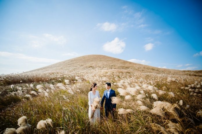 Jeju fall foliage forecast 2025 — The time & 6+ best places to visit ...