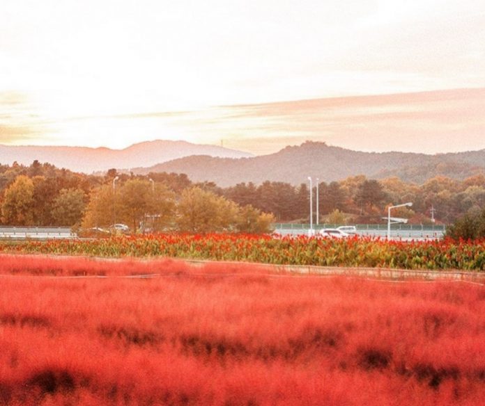 How to visit Korea in November: 12+ Top things to do & best places to ...