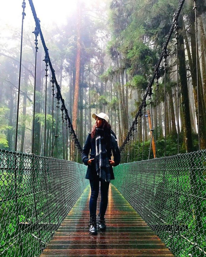 What to do & where to go in Alishan: 15 top things to do & best places ...